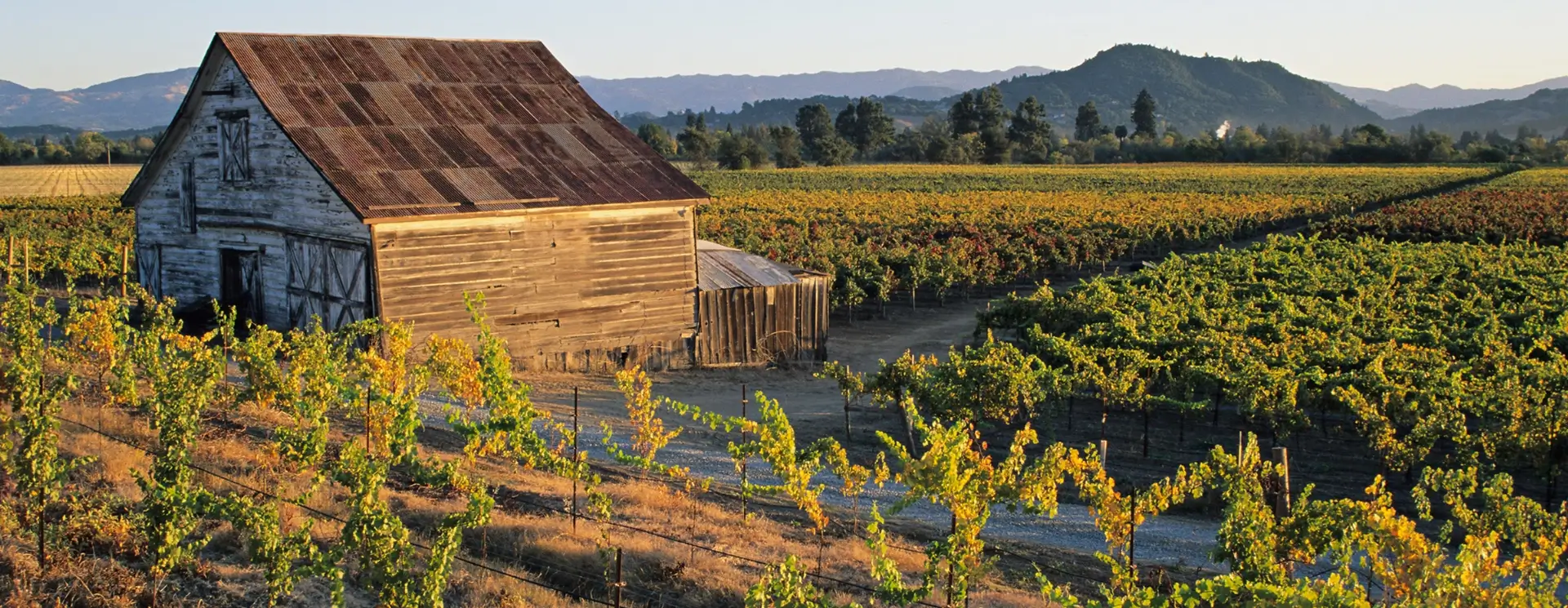 Summit State Bank - Personalized Banking Services for Sonoma County ...